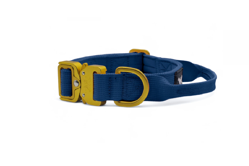 Williams K9 Light Tactical Collar 2.5CM Royal Blue | The Dogs Diner