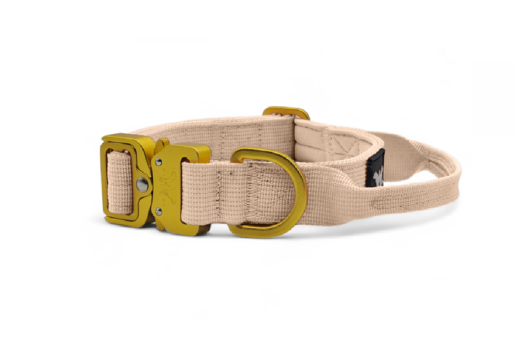 Williams K9 Light Tactical Collar 2.5CM Military Tan | The Dogs Diner