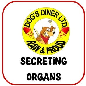 Essential Secreting Organs | The Dogs Diner