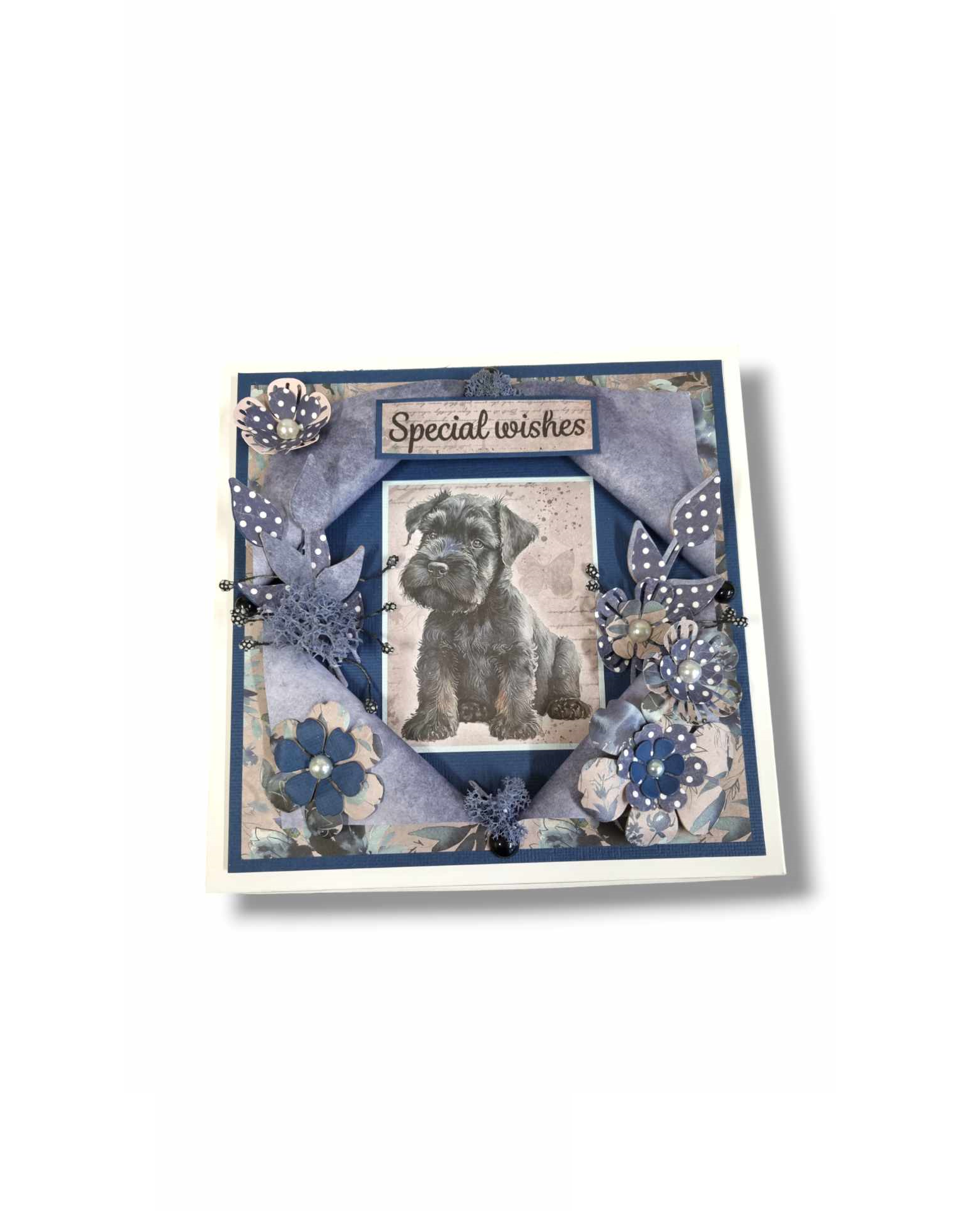 Schnauzer Special Wishes | The Dogs Diner